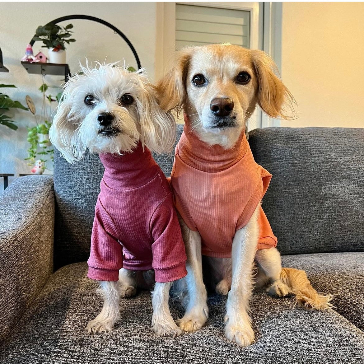 Benefits of Dog Clothing: More Than Just a Fashion Statement – Mon Ami ...
